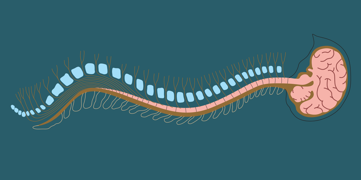 Classes – Learning Hub